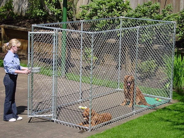 Galvanized Chain Link Dog Cage ,Chain Link Dog Cage For Sale ,Chain ...