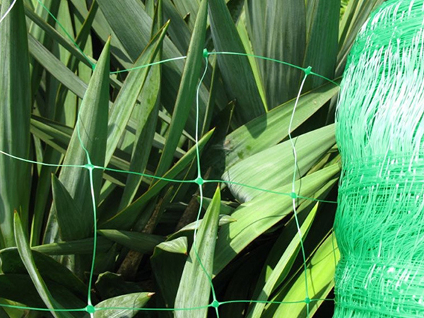 Vegetable support net,supports for flowers,Plant Support Netting For ...